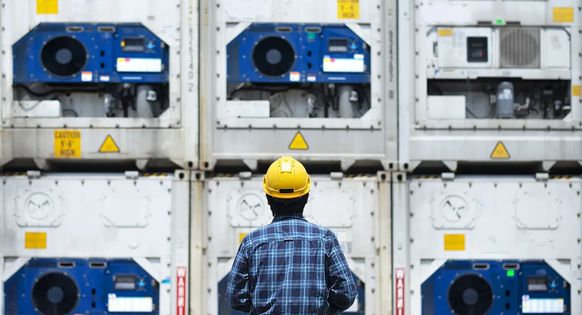 Reefer cold chain solutions for temperature-sensitive goods