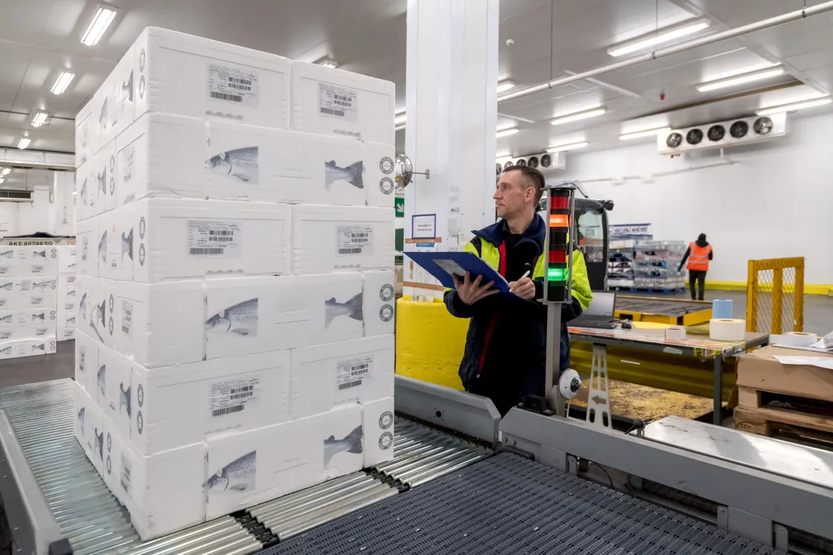 Perishables logistics for fish and seafood—reach markets safely